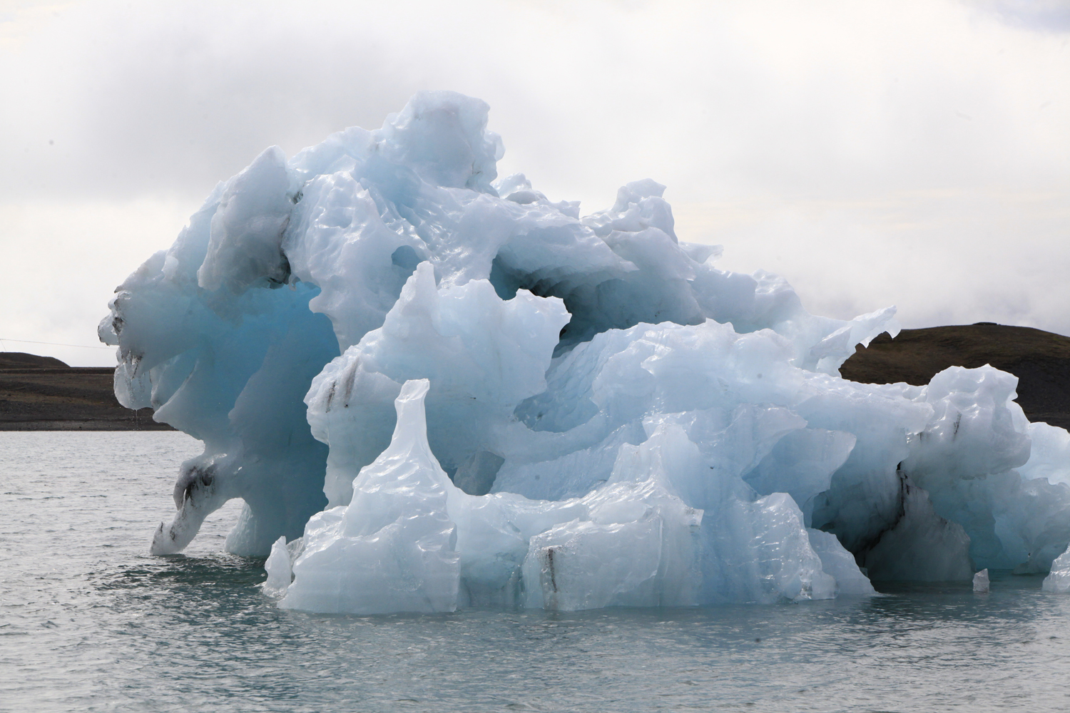 Tiere & Natur | telekine – fernsehproduktion