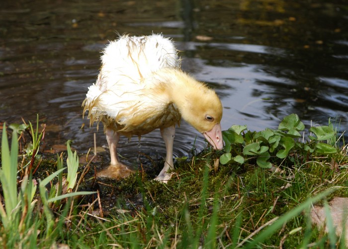 Archiv | telekine – fernsehproduktion