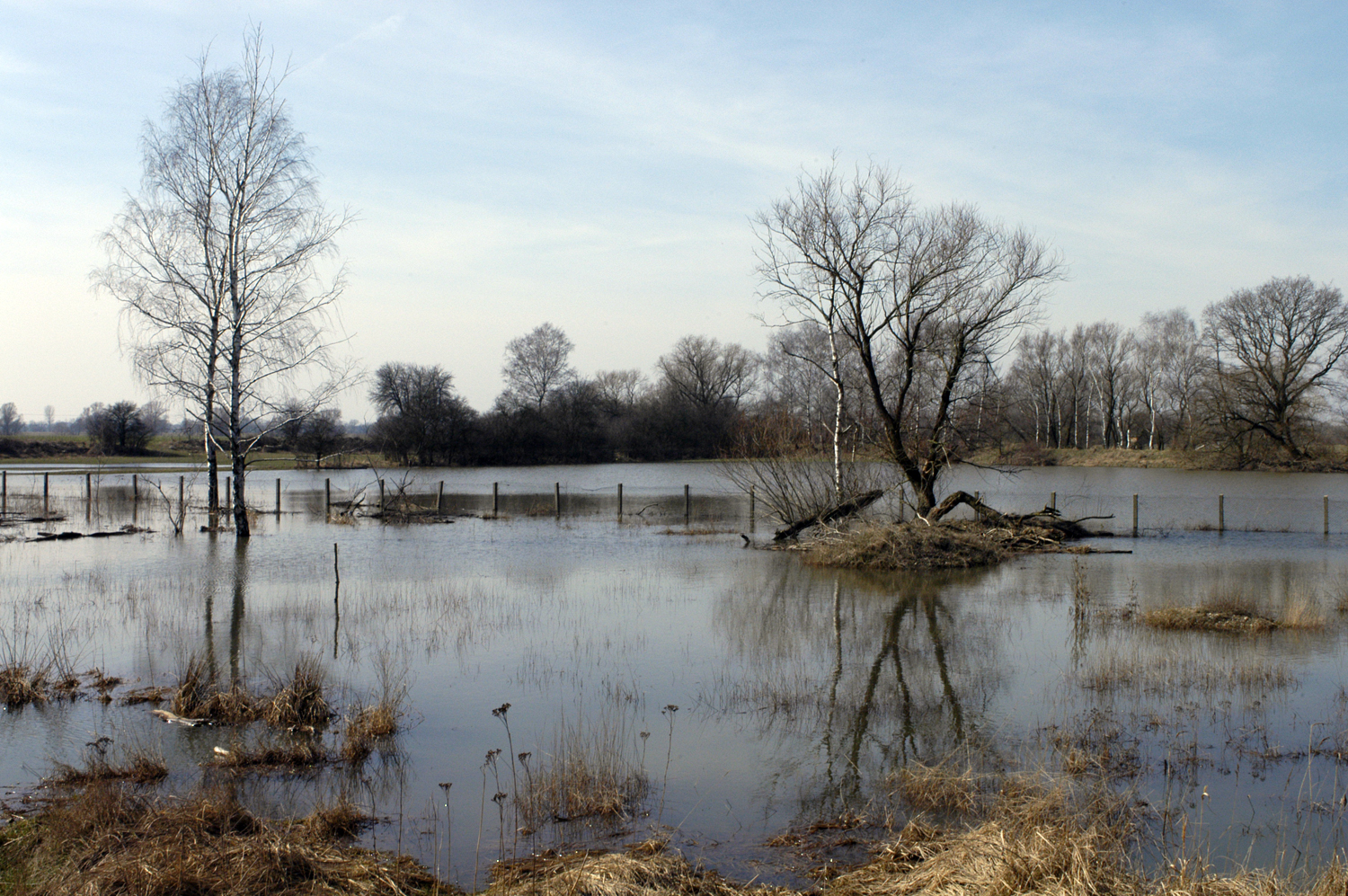 Tiere & Natur | telekine – fernsehproduktion